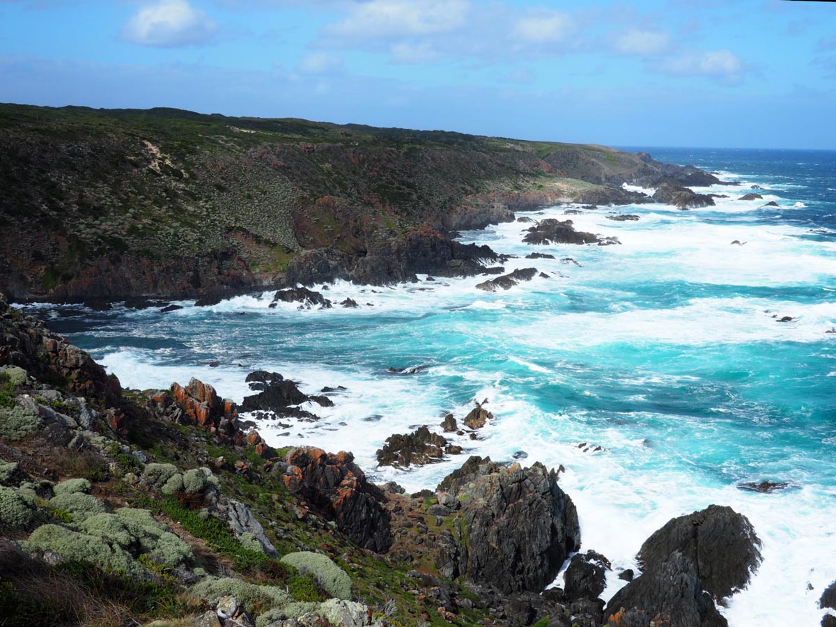 A Trip to King Island - Natalie Martin
